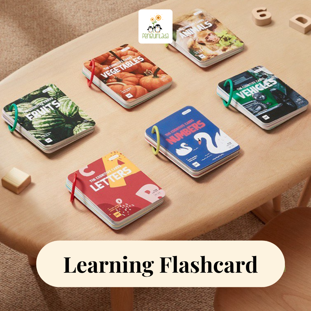 Little Explorer Visual Learning Flashcards – Penguinlada